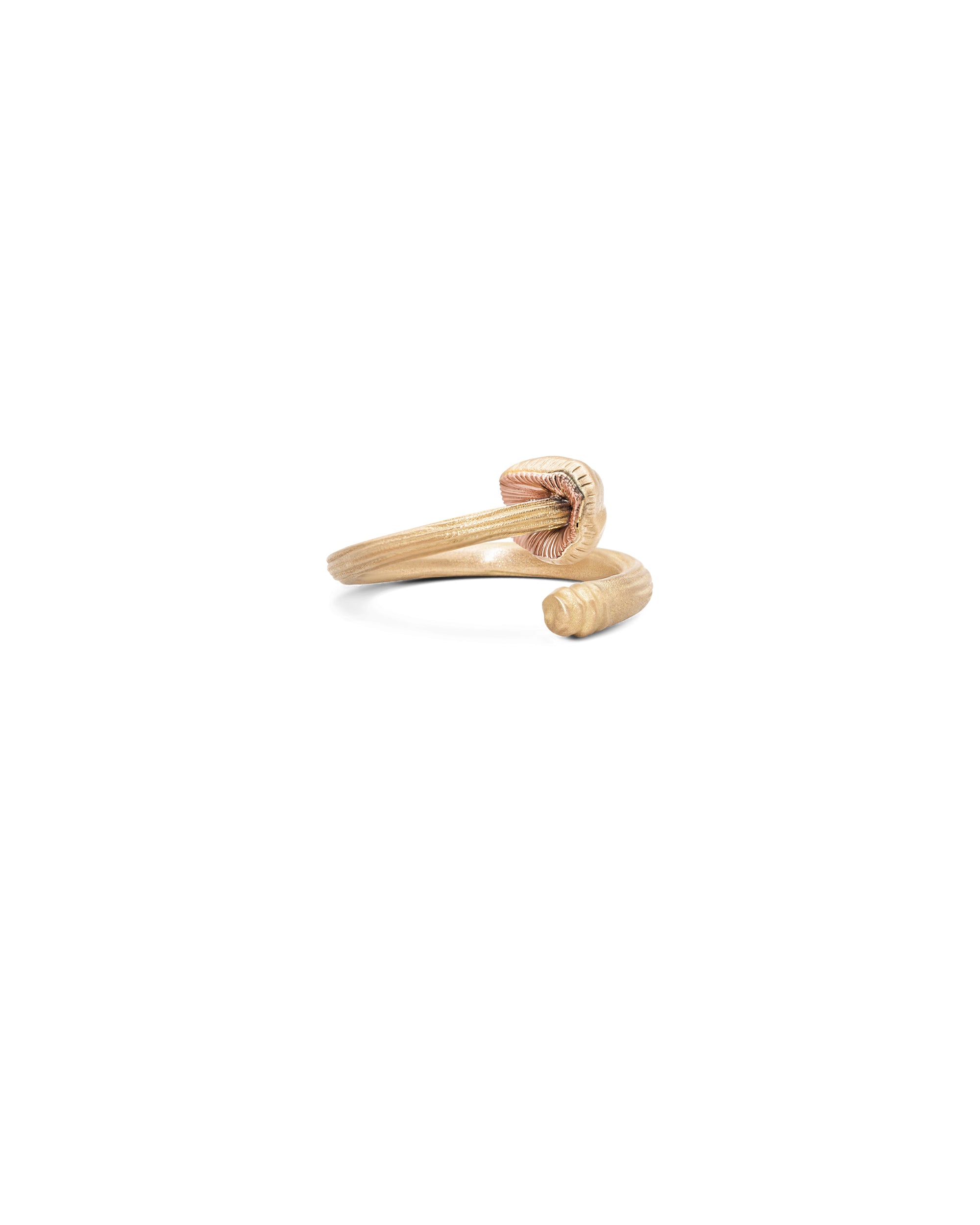FUNGI 14k Conica Ring – Bernard James