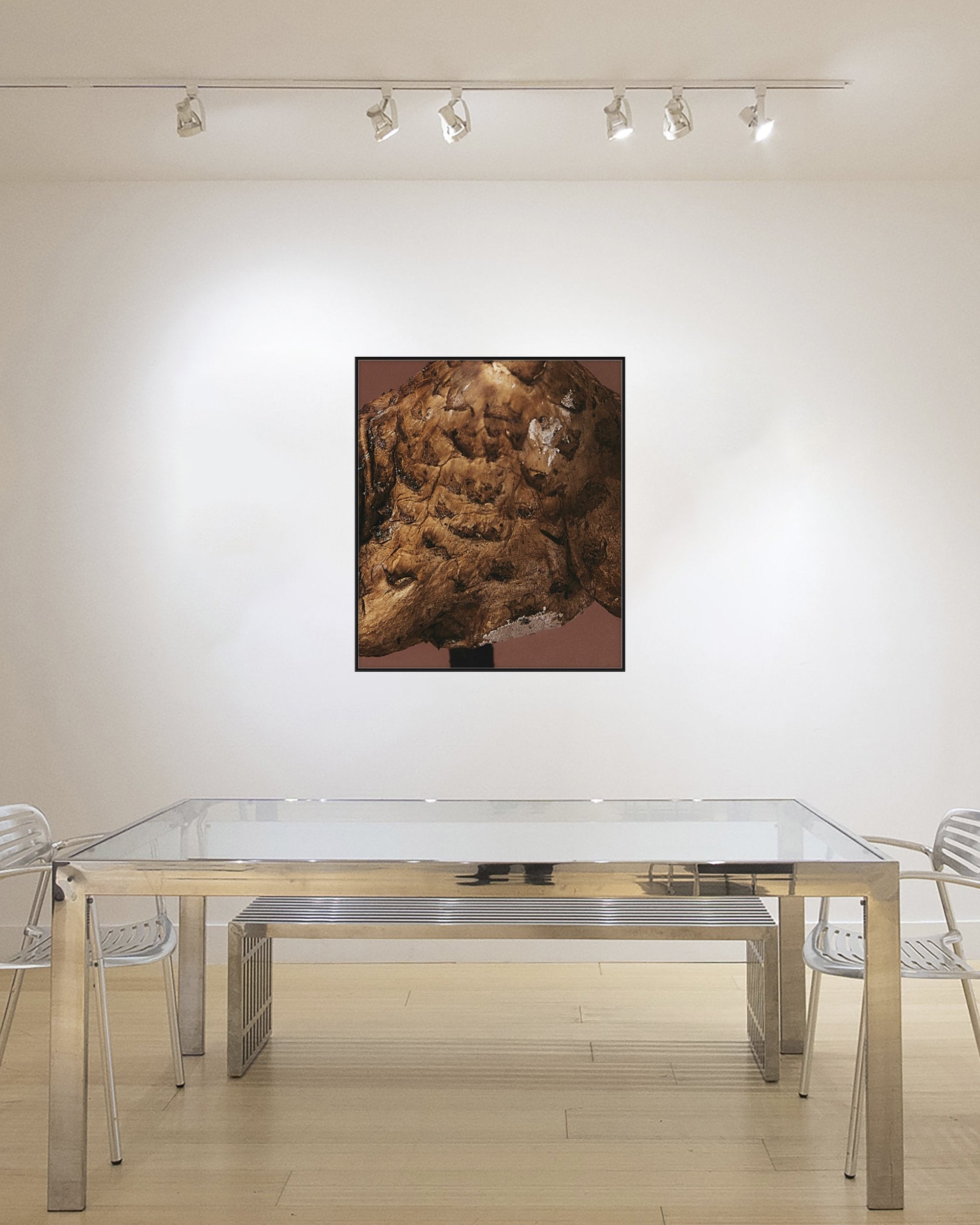 Fungi Print 1 – Bernard James